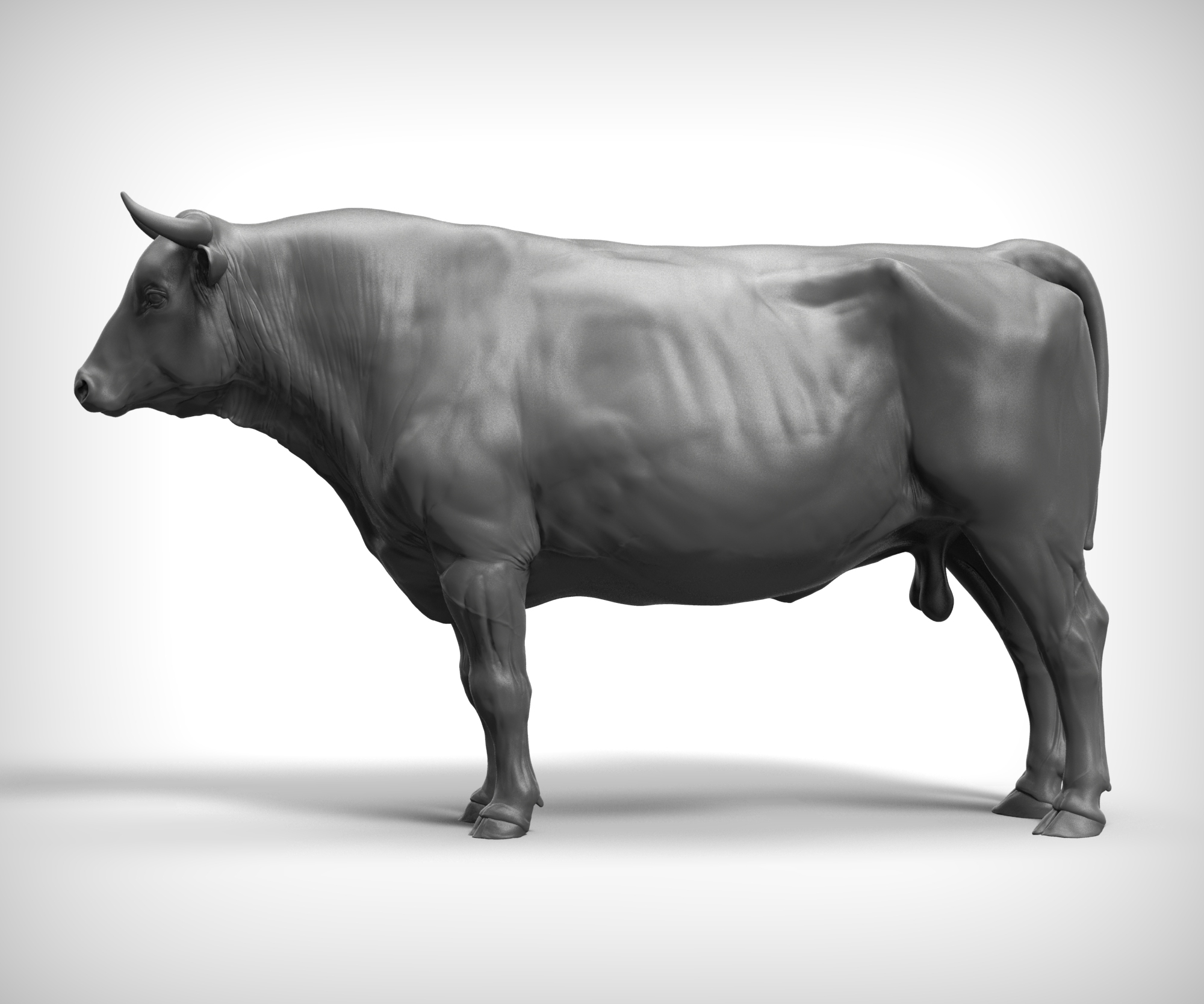 3D bull - TurboSquid 1174880