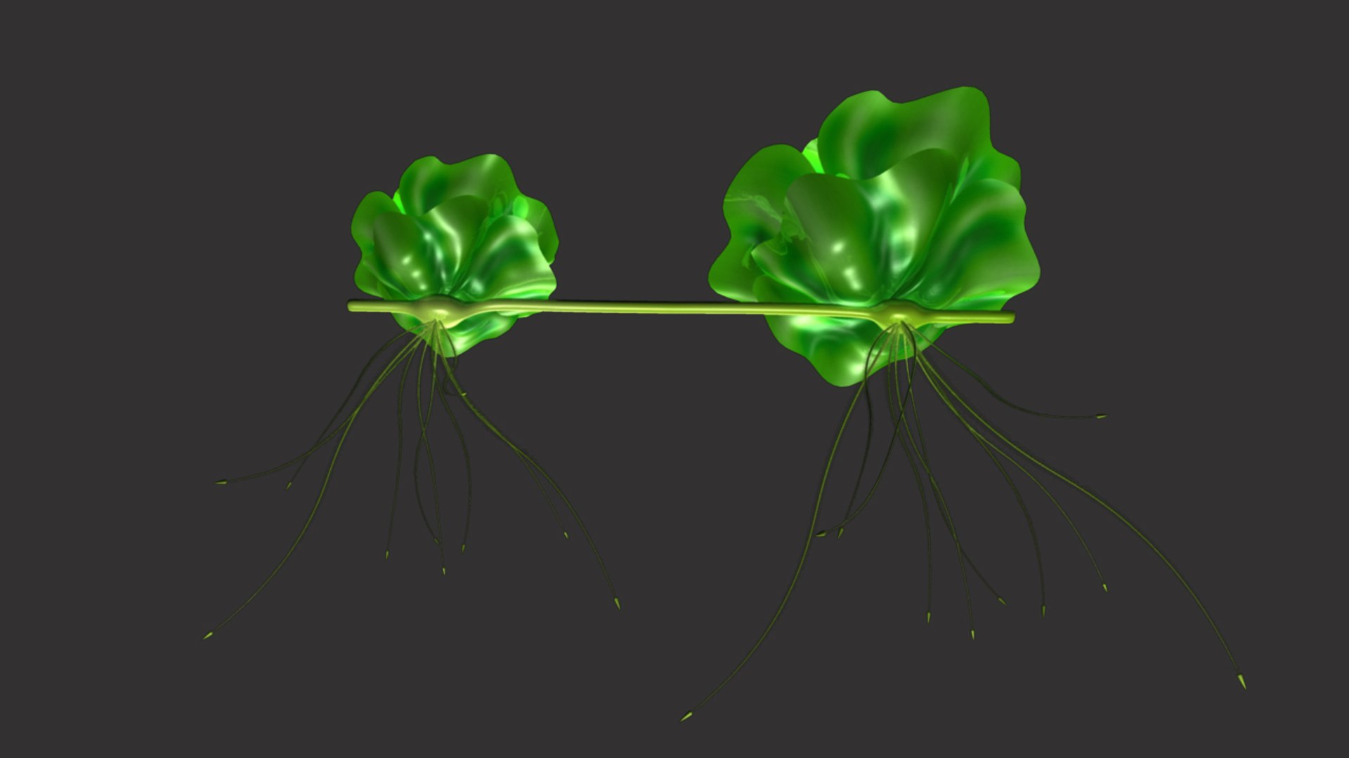 3d obj hyacinth