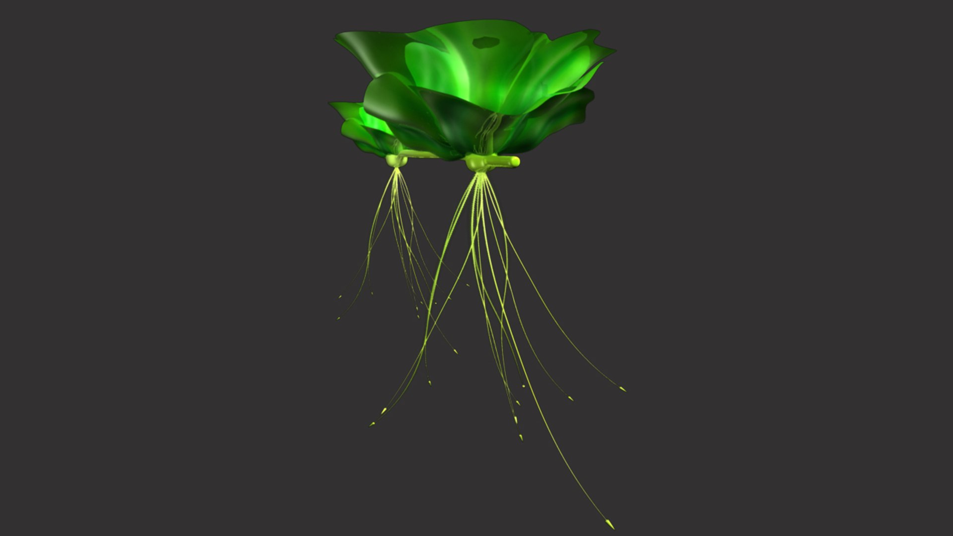 3d obj hyacinth