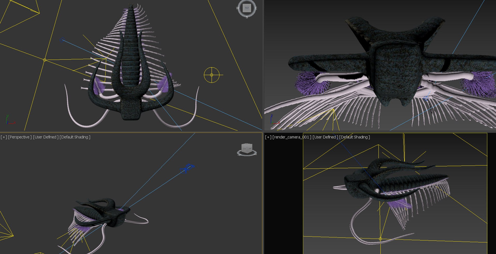 3D Marella Animated - TurboSquid 1774103