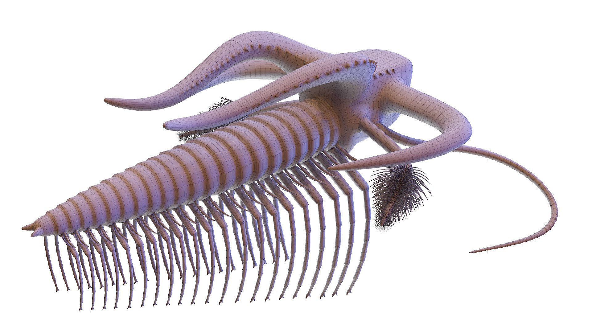 3D Marella Animated - TurboSquid 1774103
