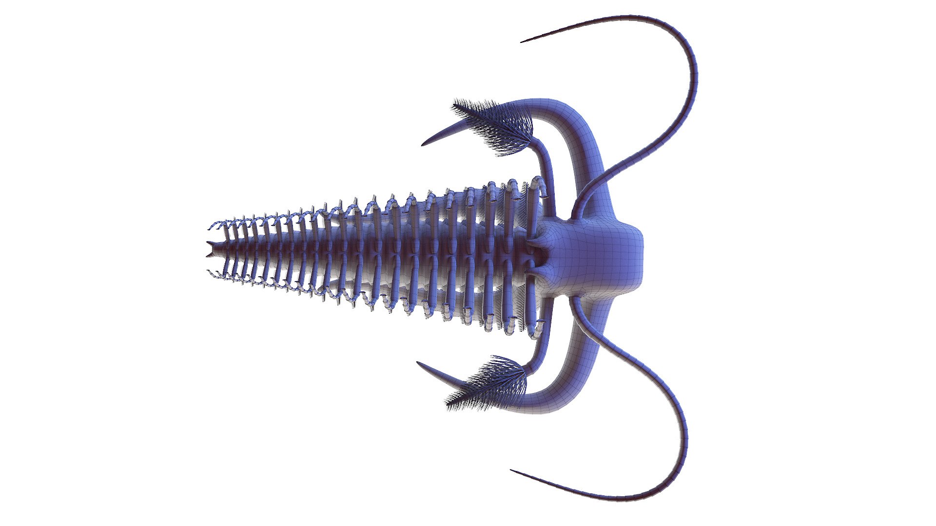 3D Marella Animated - TurboSquid 1774103