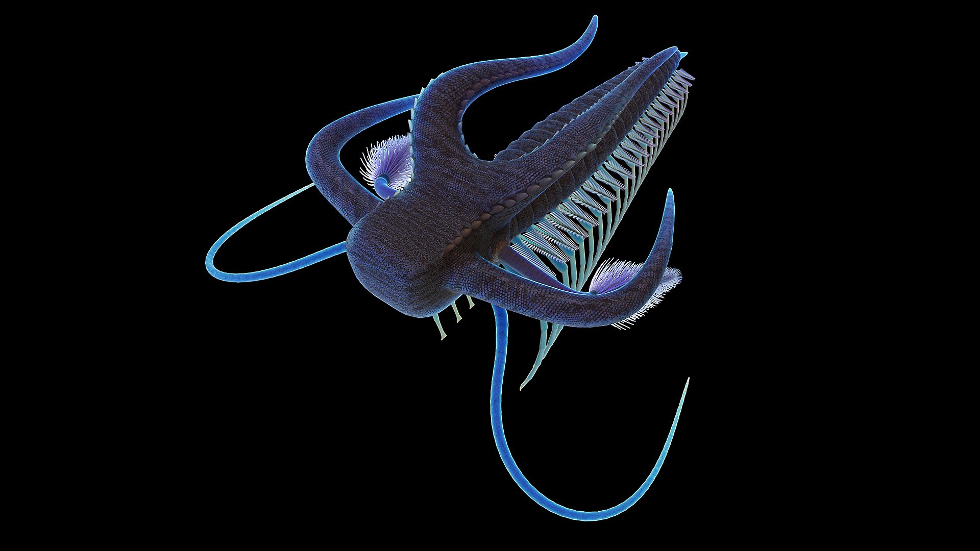 3D Marella Animated - TurboSquid 1774103