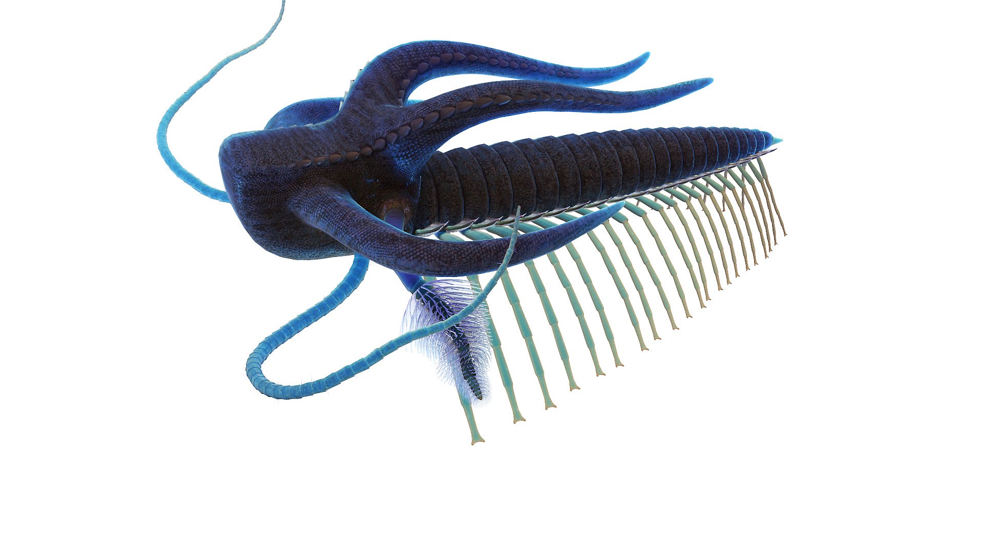 3D Marella Animated - TurboSquid 1774103