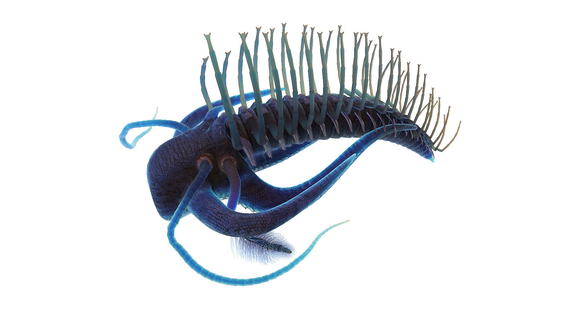 3D Marella Animated - TurboSquid 1774103