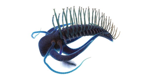 3D Marella Animated - TurboSquid 1774103