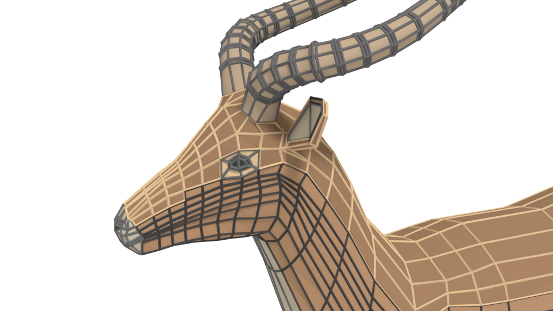 Impala Antelope 3D Model - TurboSquid 1400456
