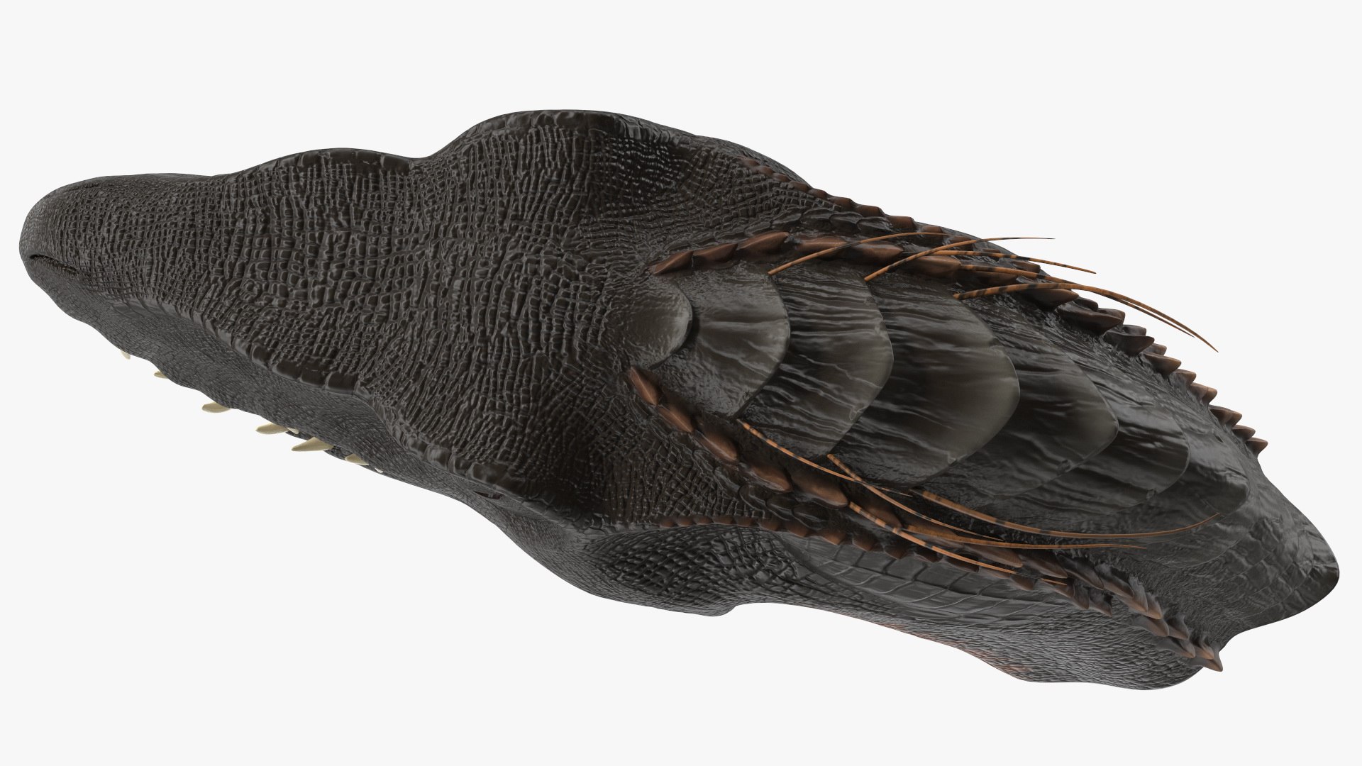 Indoraptor Head 3D - TurboSquid 1884885