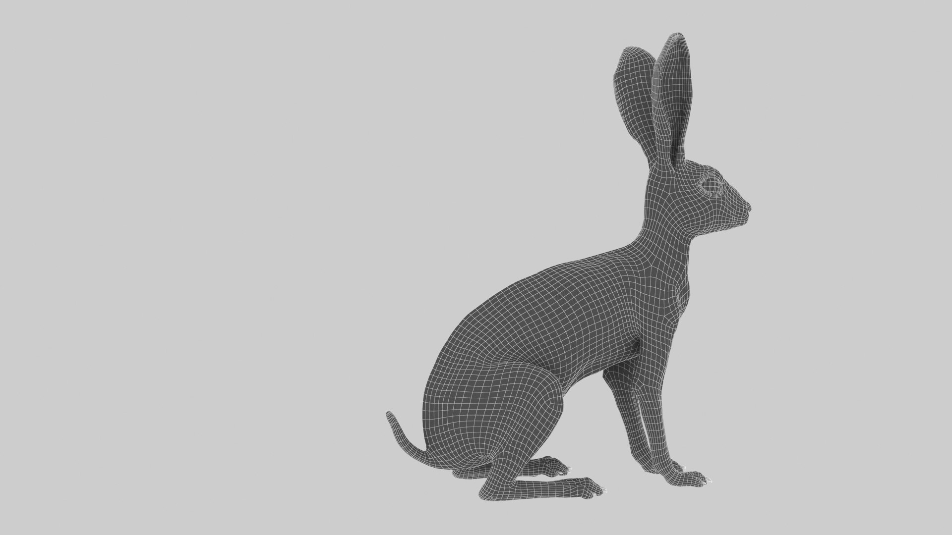 3D hare - TurboSquid 1711081