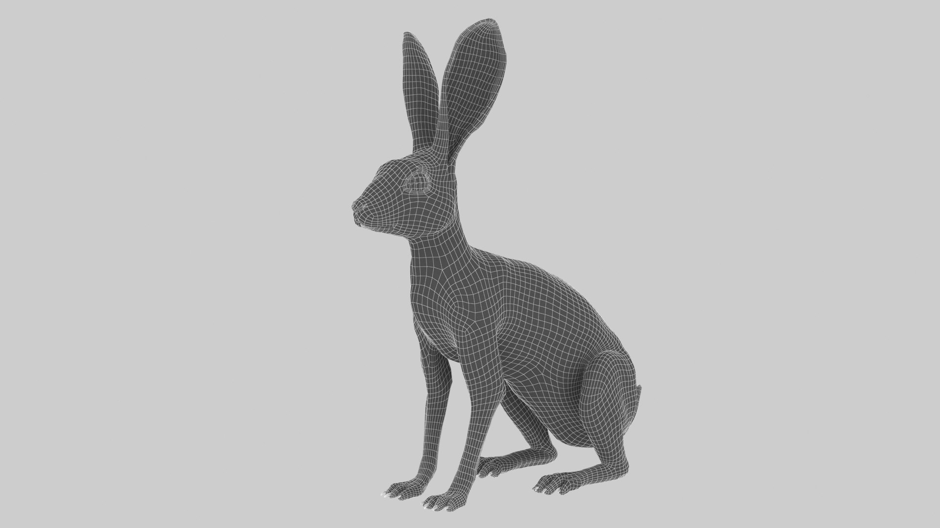 3D hare - TurboSquid 1711081