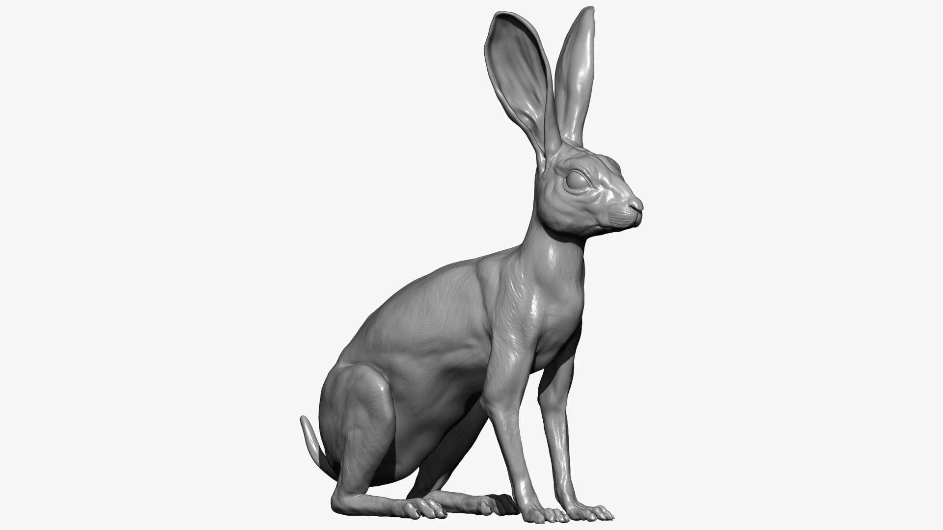3D hare - TurboSquid 1711081