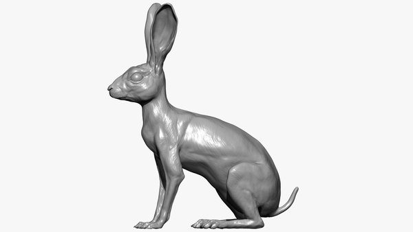 3D hare - TurboSquid 1711081