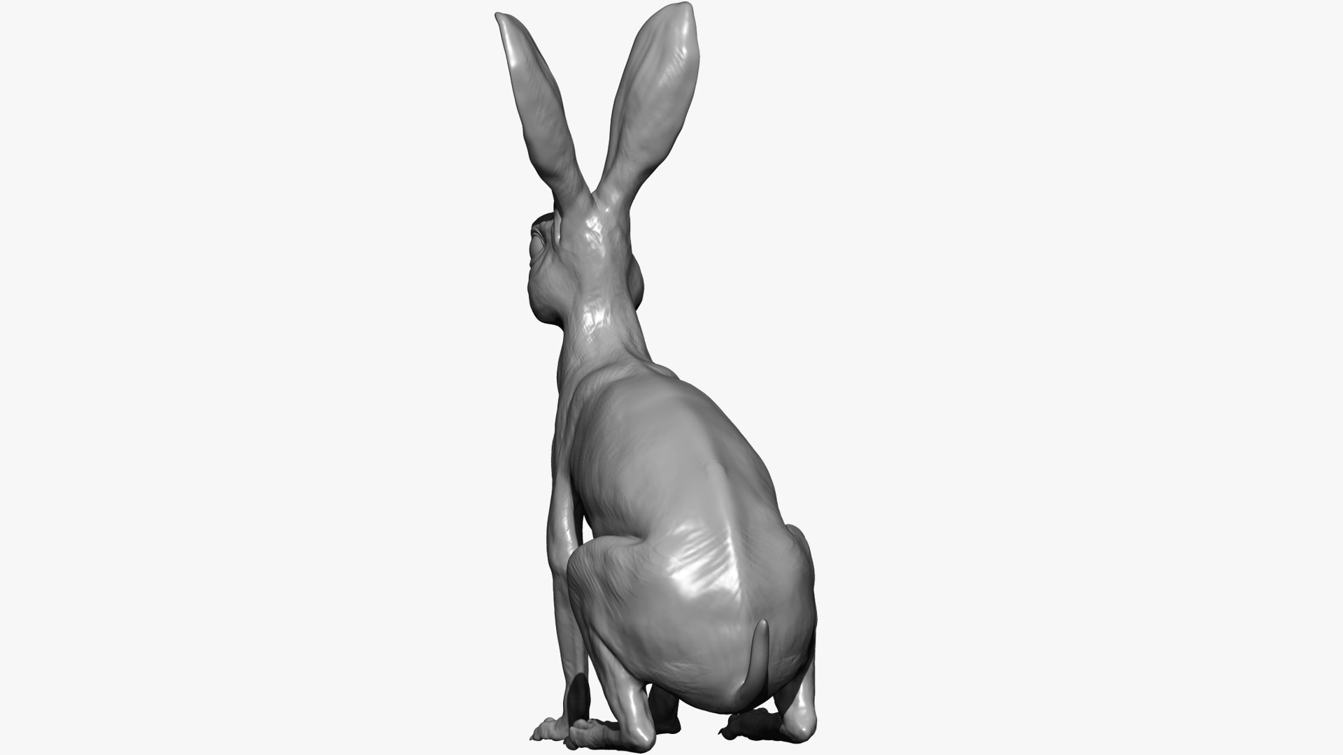 3D hare - TurboSquid 1711081