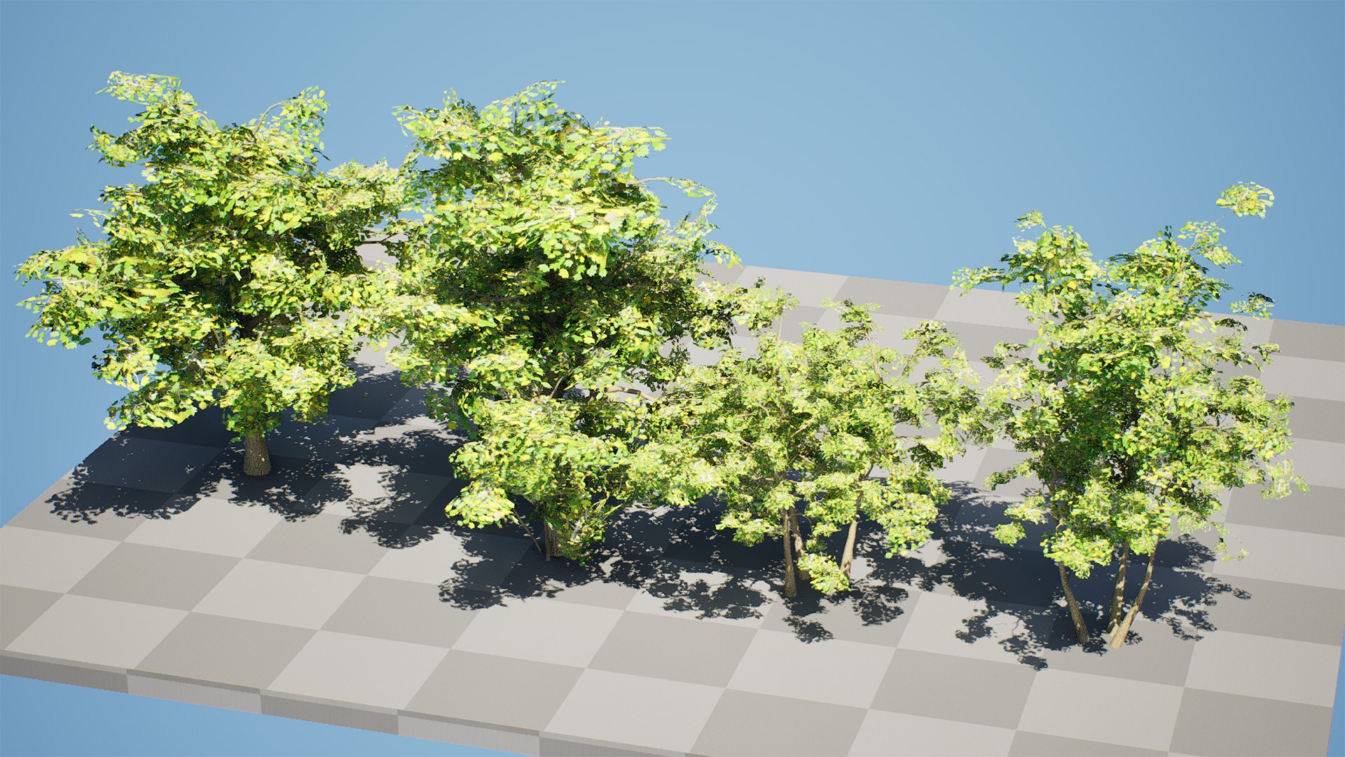 Realistic Maple Tree Model - TurboSquid 2324361