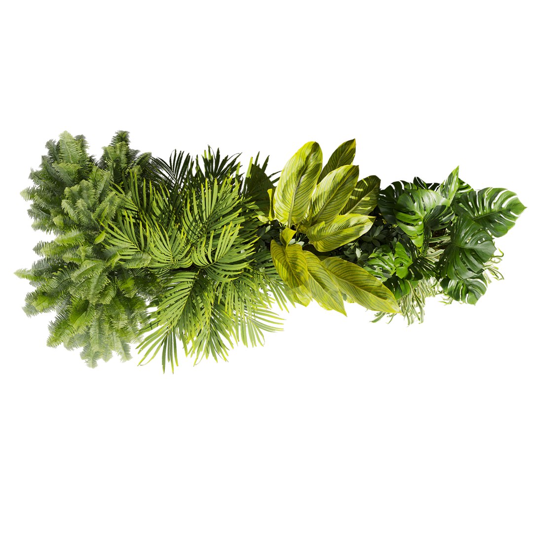 Plant Vol 877 - Ampelous - Hanging - Monstera - Pothos 3D Model ...
