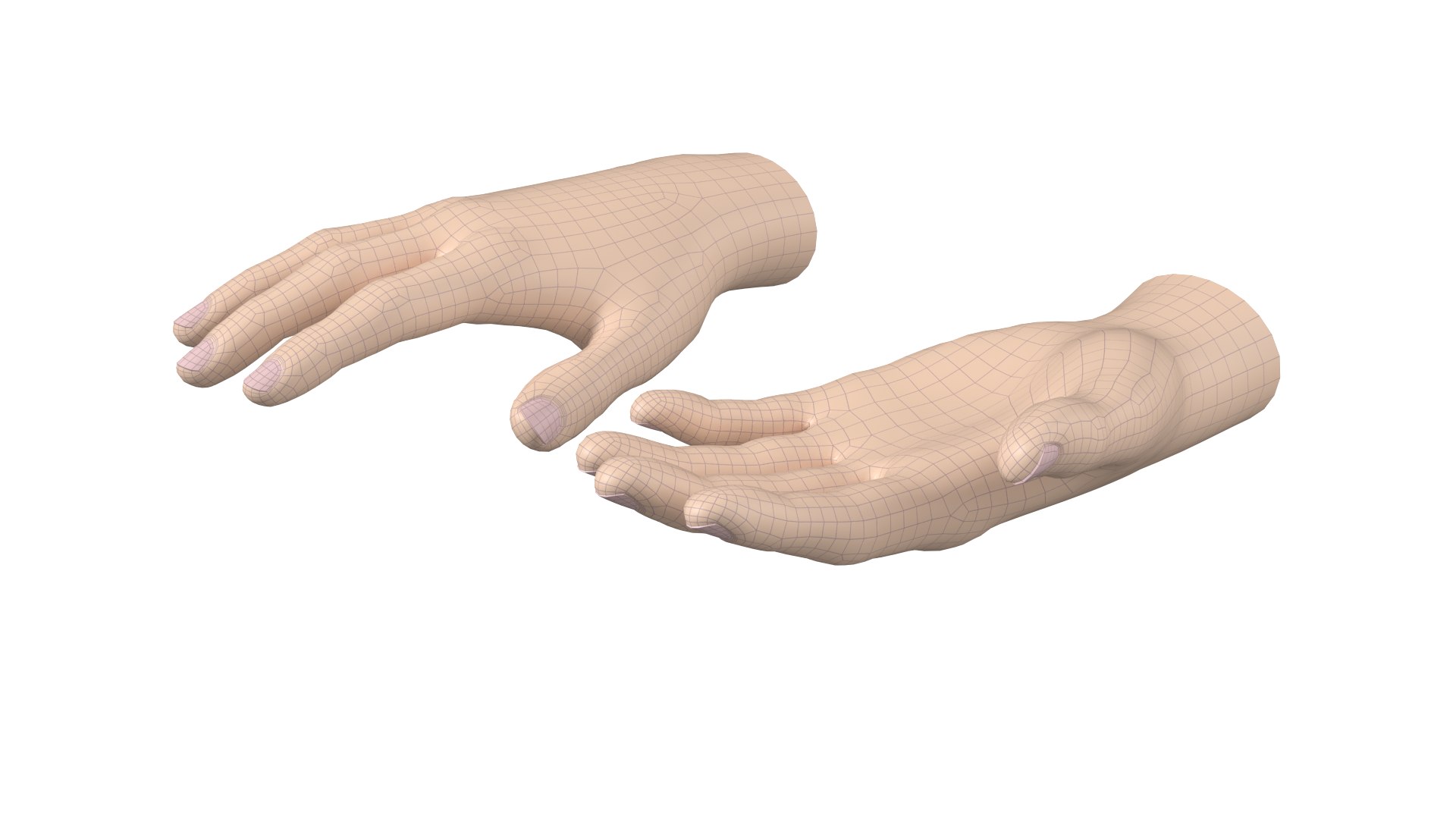 Female Hand Base Mesh 01 3D Model - TurboSquid 2180501