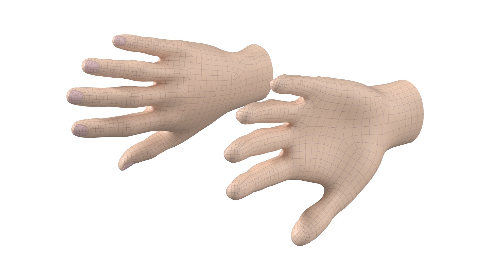 Female Hand Base Mesh 01 3D Model - TurboSquid 2180501