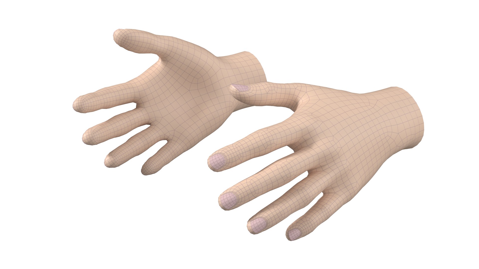Female Hand Base Mesh 01 3D Model - TurboSquid 2180501