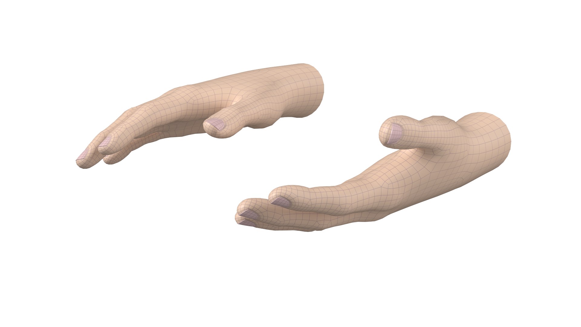 Female Hand Base Mesh 01 3D Model - TurboSquid 2180501