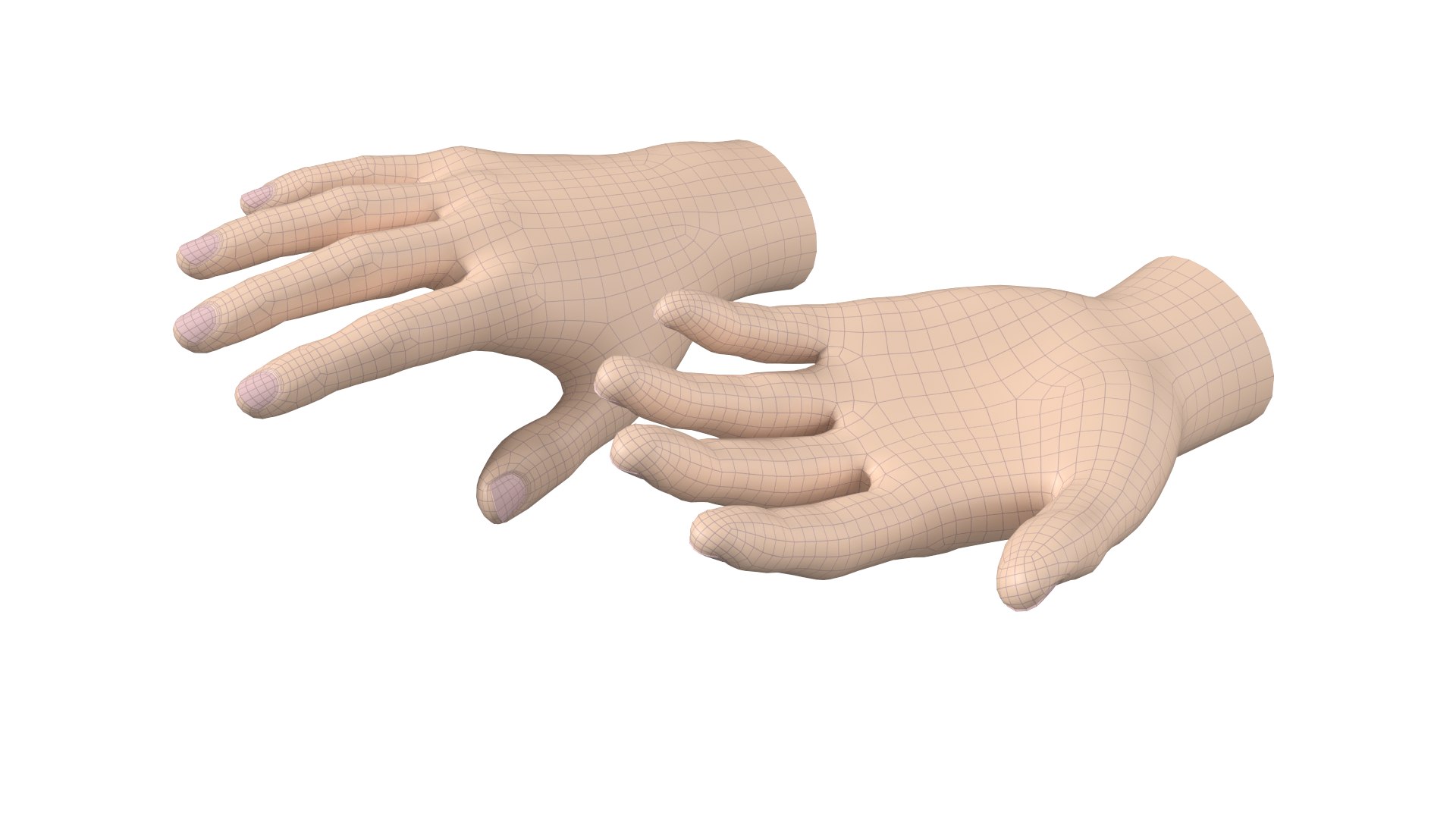Female Hand Base Mesh 01 3D Model - TurboSquid 2180501