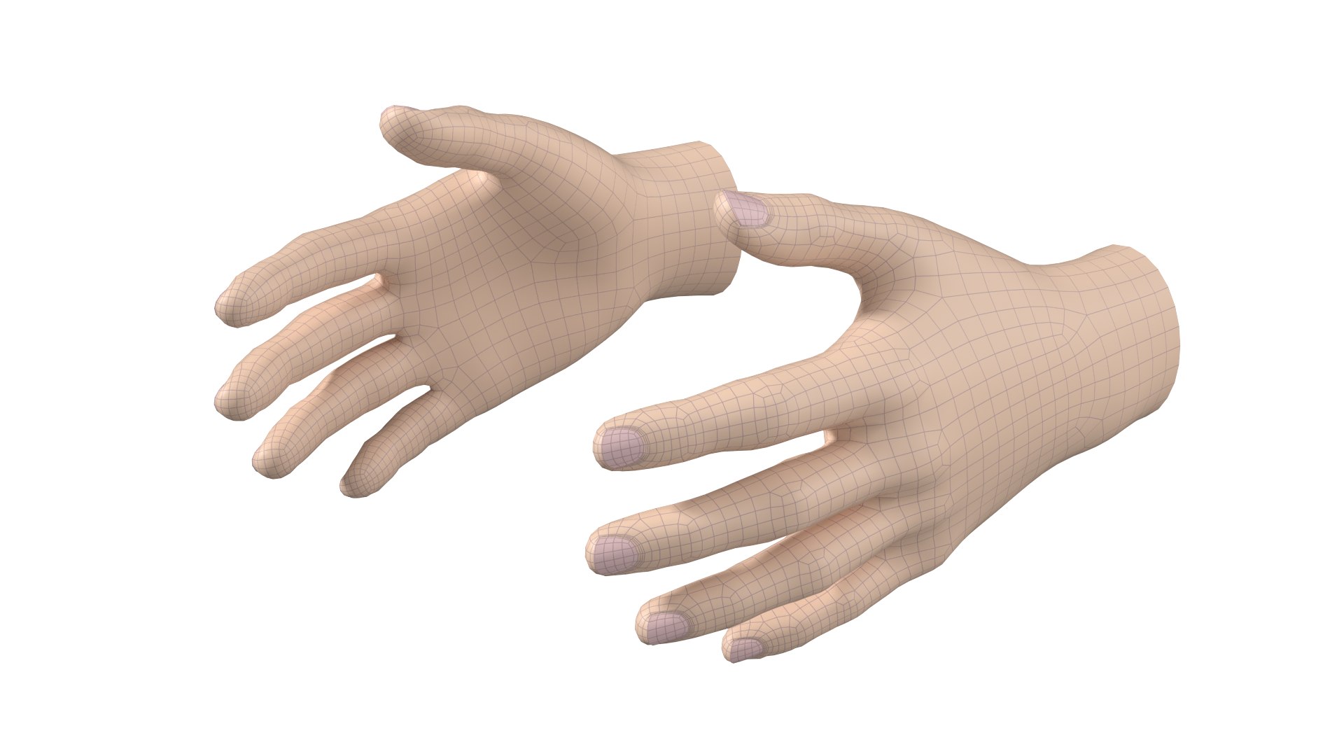 Female Hand Base Mesh 01 3D Model - TurboSquid 2180501