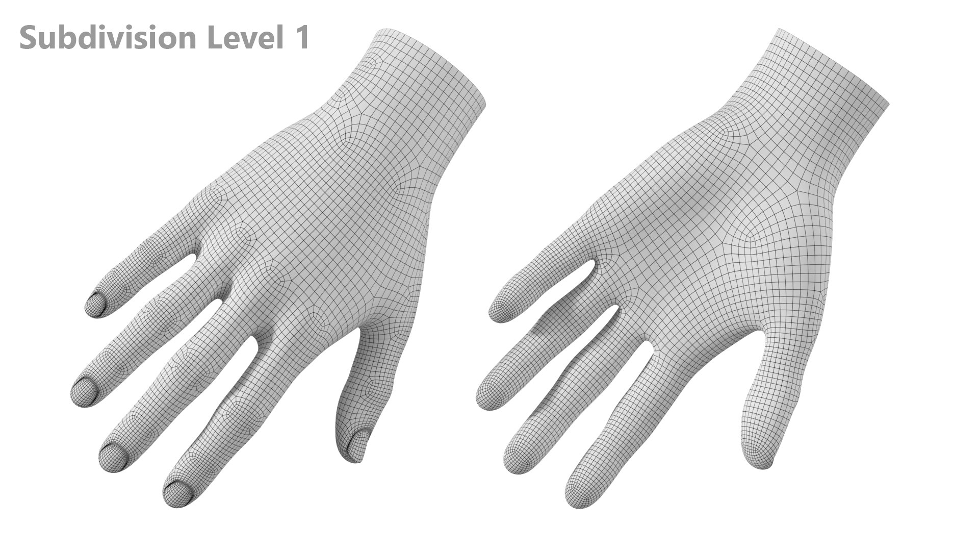 Female Hand Base Mesh 01 3D Model - TurboSquid 2180501
