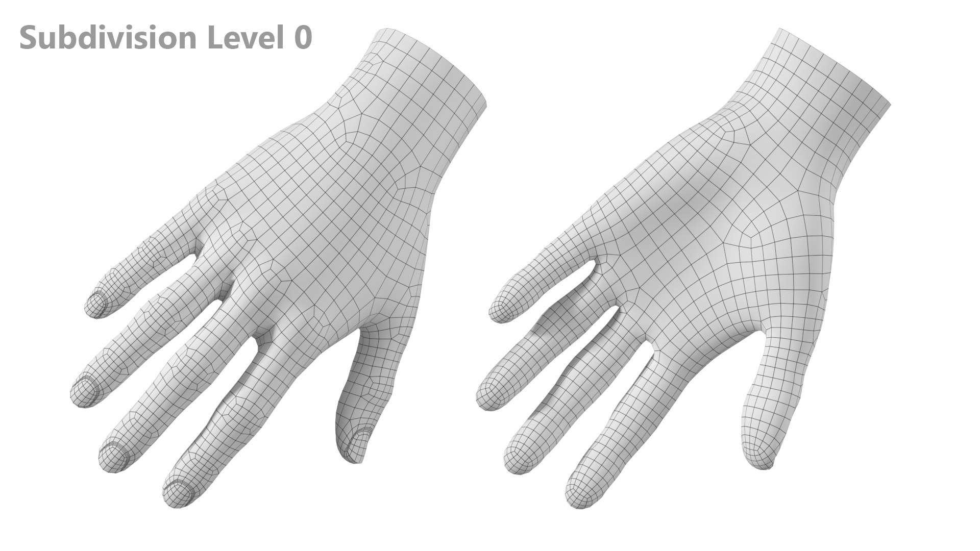 Female Hand Base Mesh 01 3D Model - TurboSquid 2180501