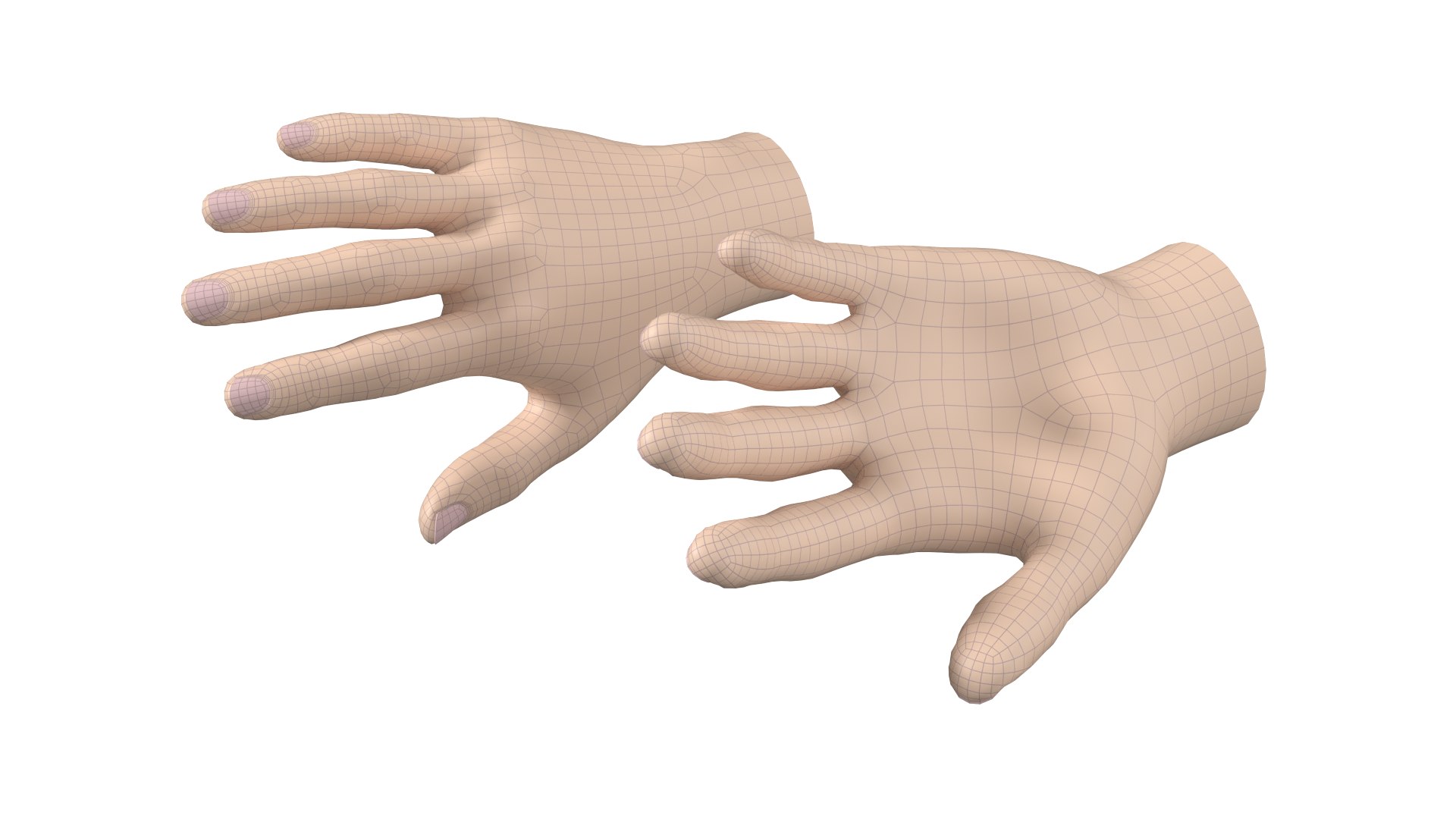 Female Hand Base Mesh 01 3D Model - TurboSquid 2180501
