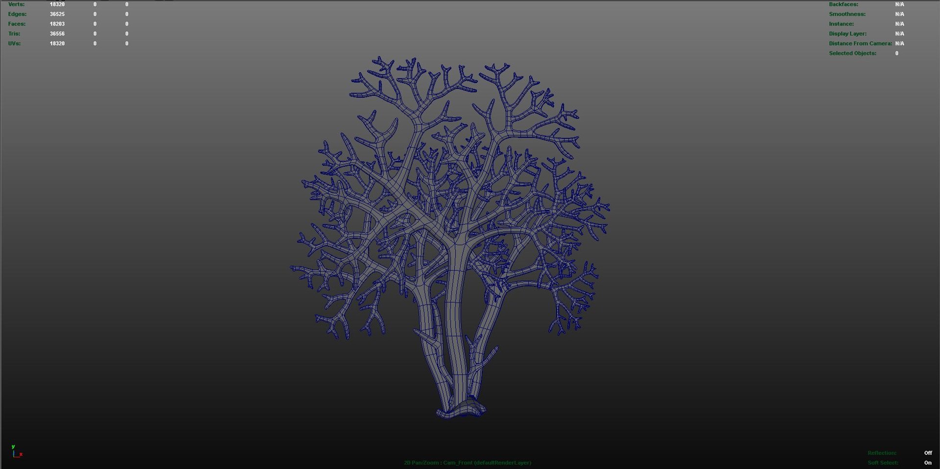 3d Red Algae Agarophyte Model