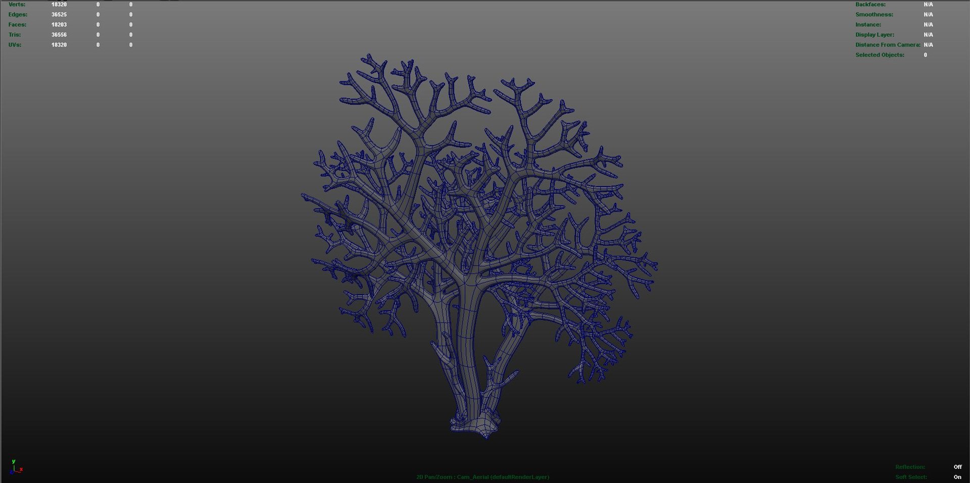 3d Red Algae Agarophyte Model