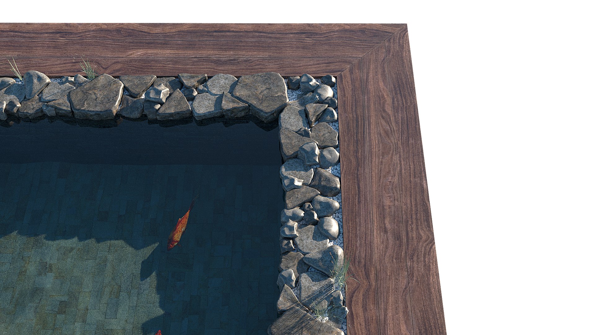 3D Model Garden Pond Fish - TurboSquid 1687636