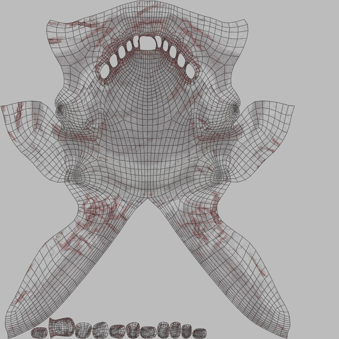 Skelecton 3D Model - TurboSquid 2028038