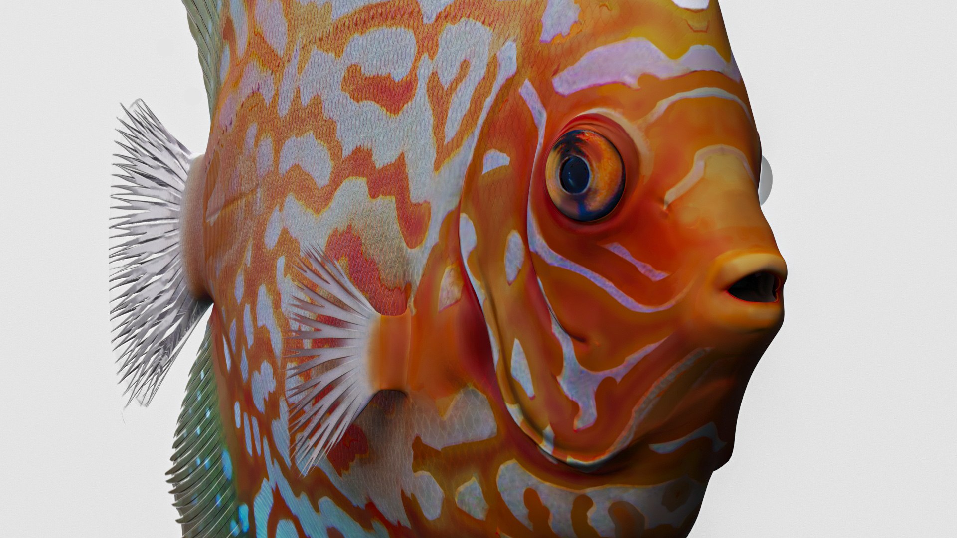 3D Discus Fish Aquatic Creature - TurboSquid 2323175