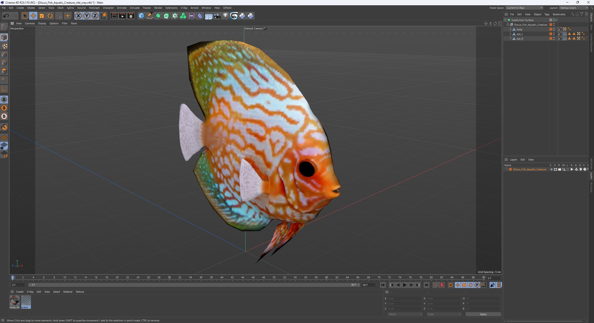 3D Discus Fish Aquatic Creature - TurboSquid 2323175
