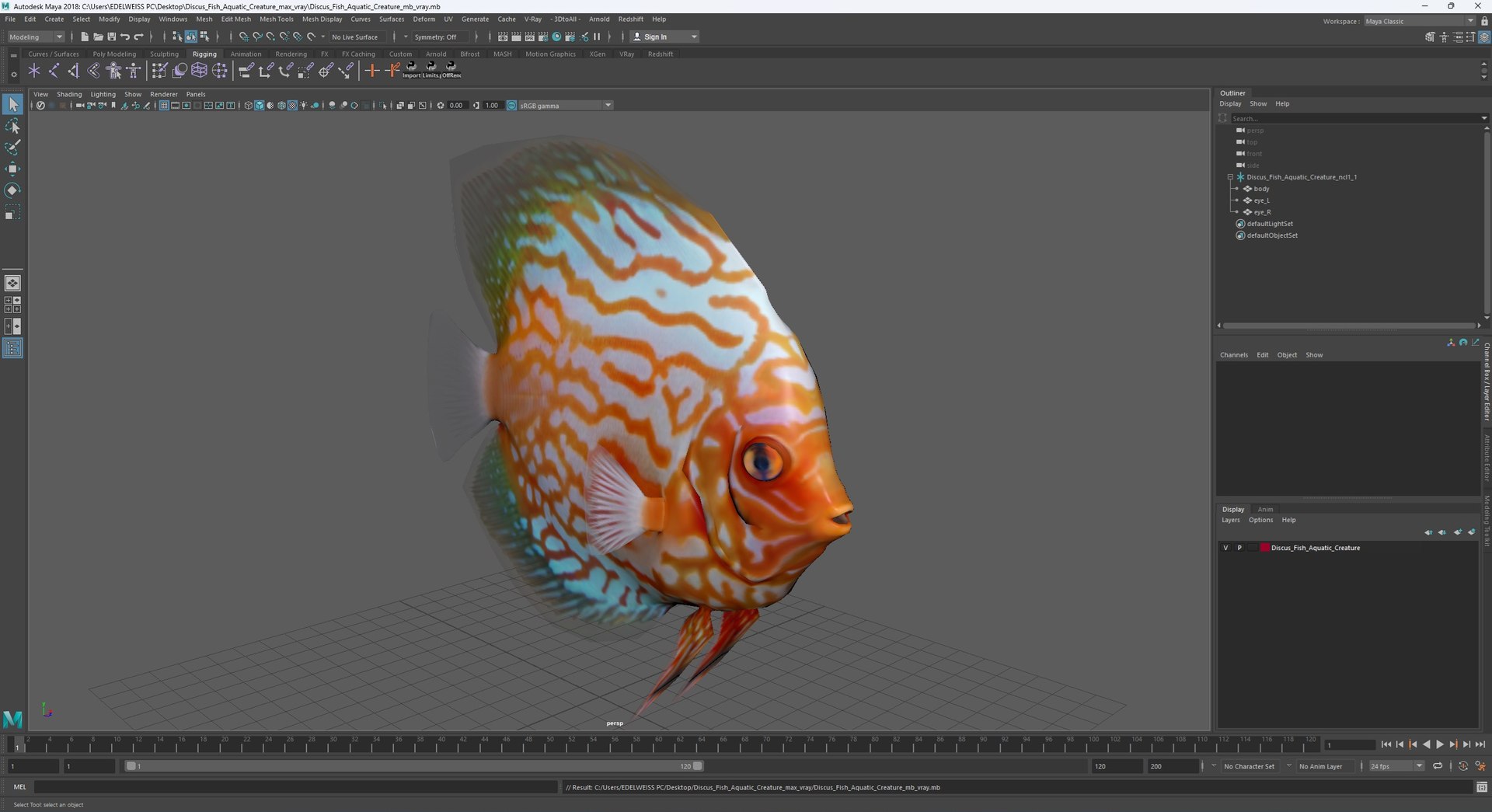 3D Discus Fish Aquatic Creature - TurboSquid 2323175