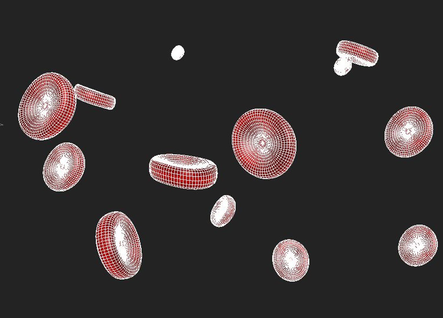 3d Red Blood Cells