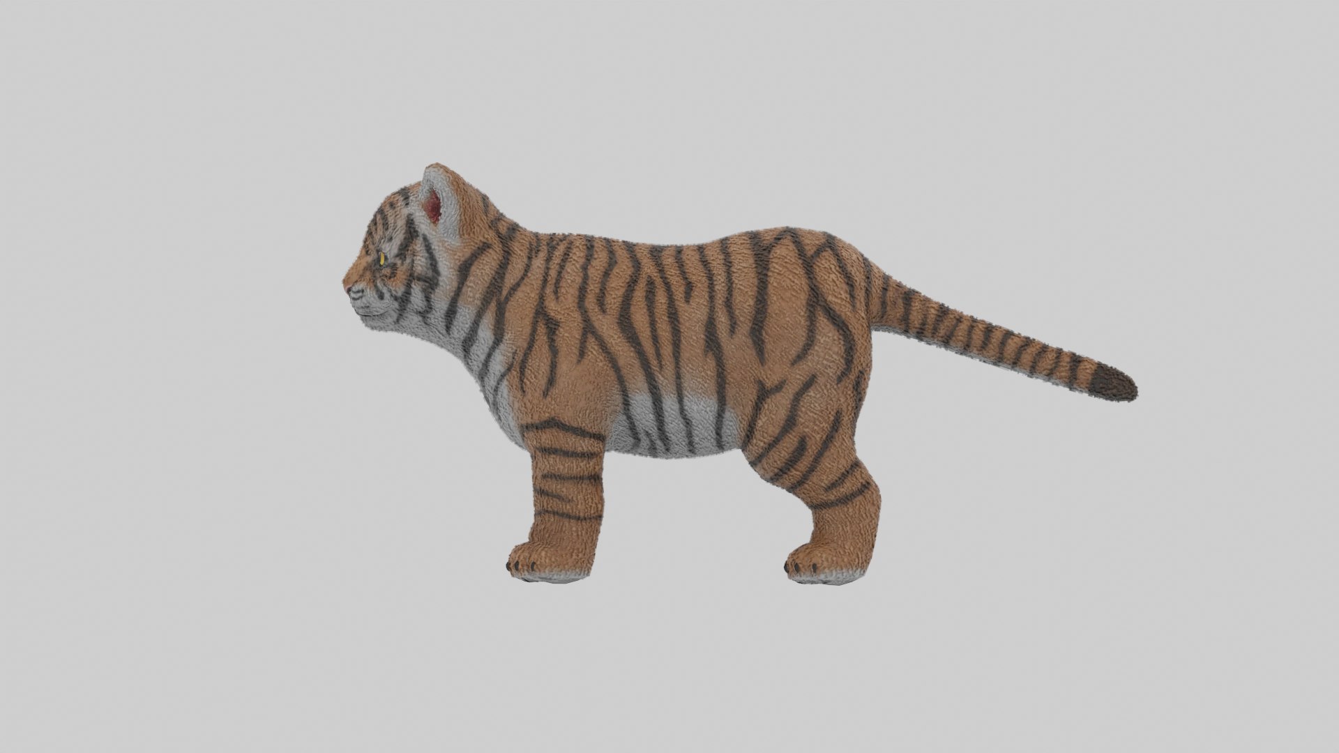 Little Tiger 3D Model - TurboSquid 2079962