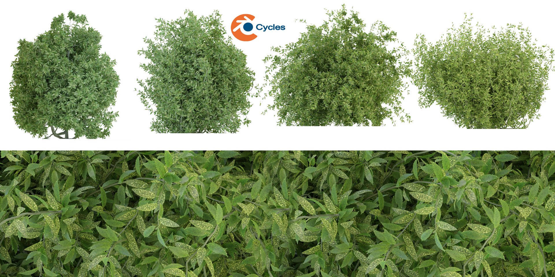 Collection plant vol 226 - blender model 3D model - TurboSquid 2087037