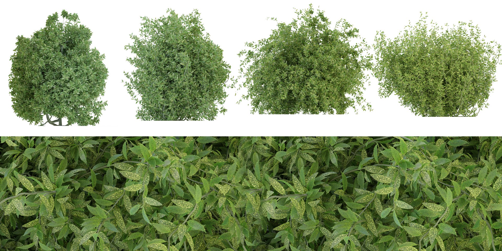 Collection Plant Vol 226 - Blender Model 3D Model - TurboSquid 2087037