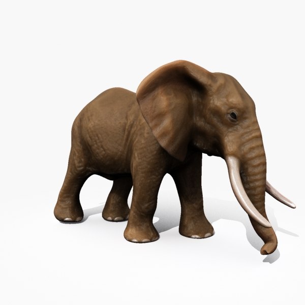 3d model elephant animating