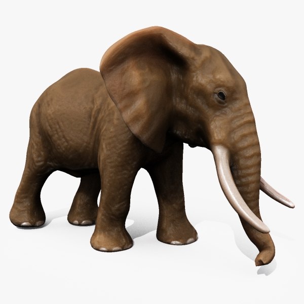 3d model elephant animating