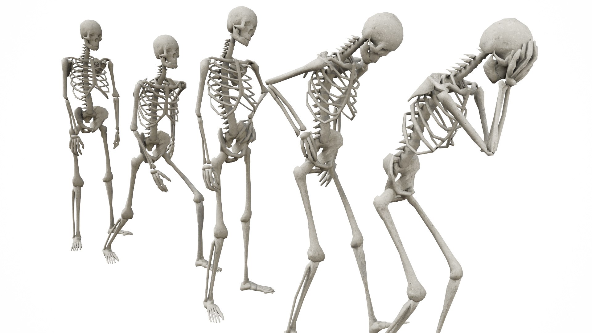 Standing Poses Low-poly Skeletons Model - TurboSquid 1353351