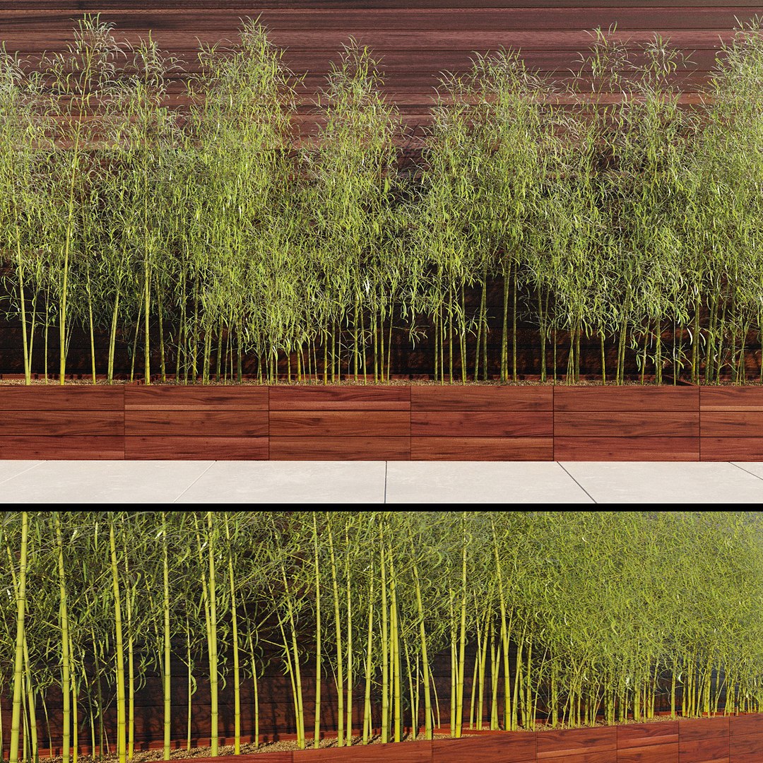 3d Bamboo Trees