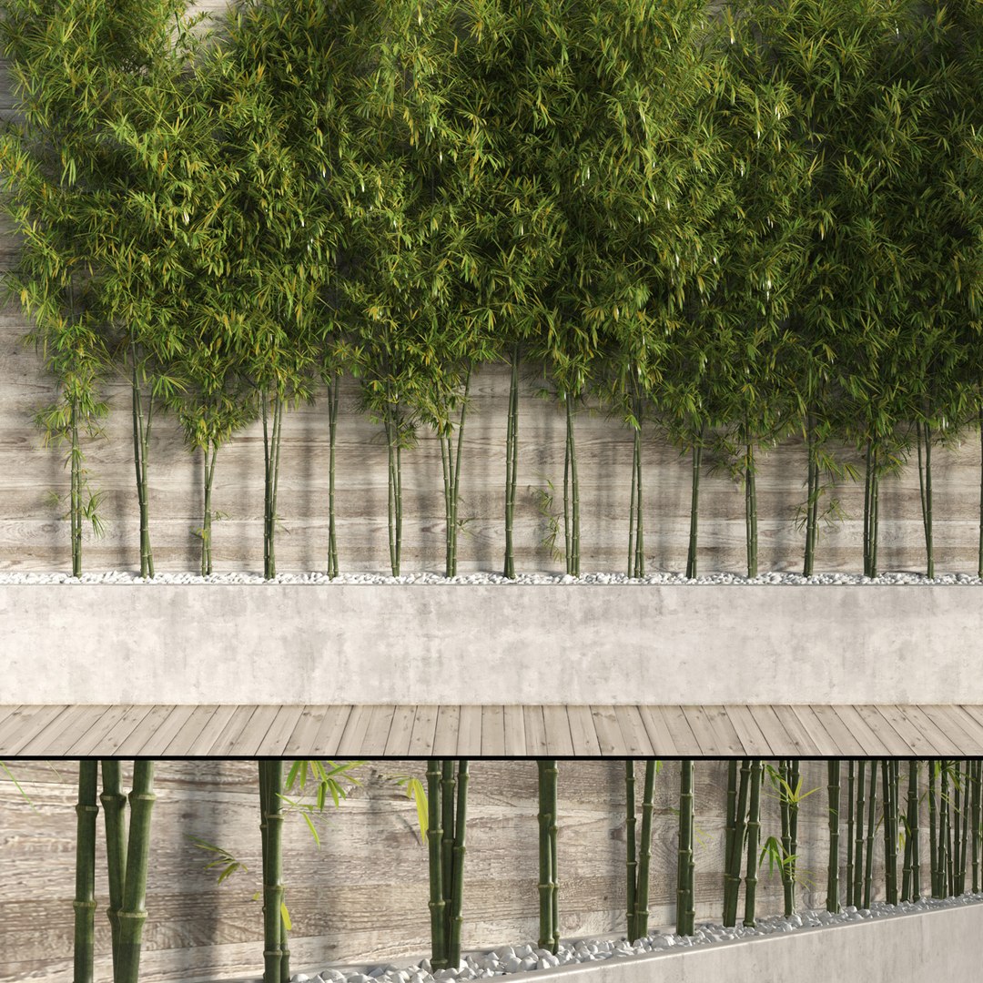 3d Bamboo Trees