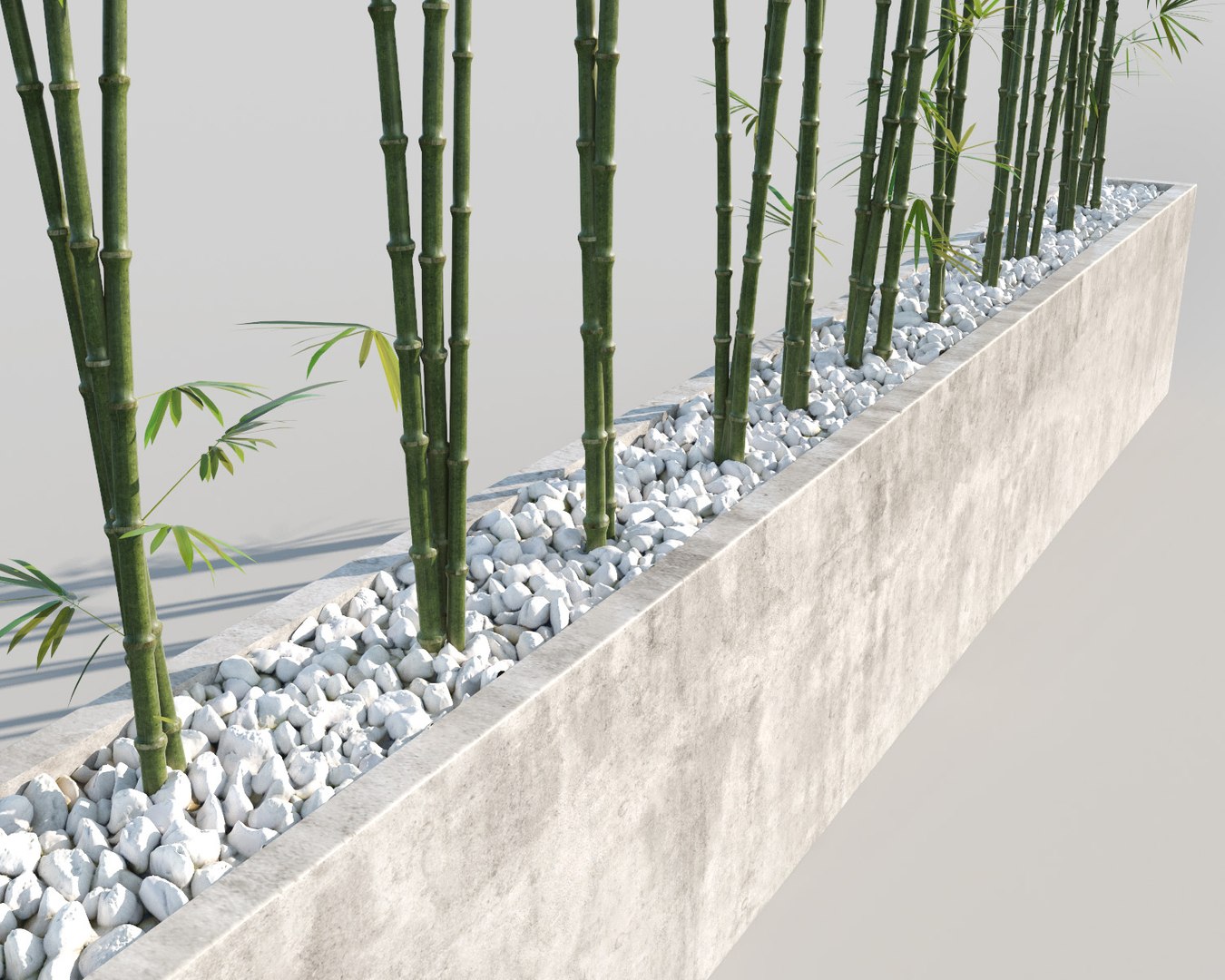 3d Bamboo Trees