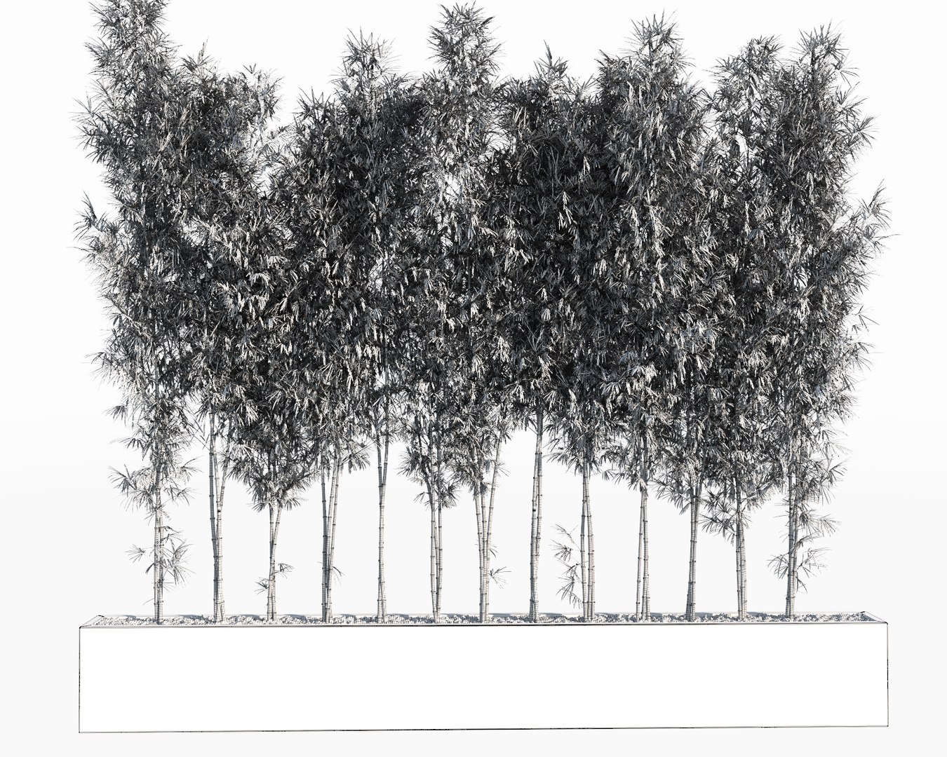 3d Bamboo Trees