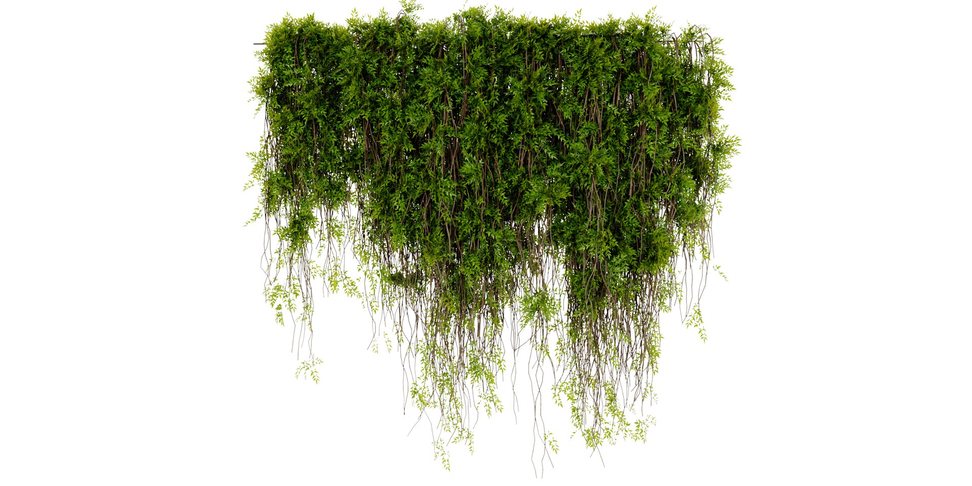 Collection Plant Vol 425 - Blender Model 3D Model - TurboSquid 2097115