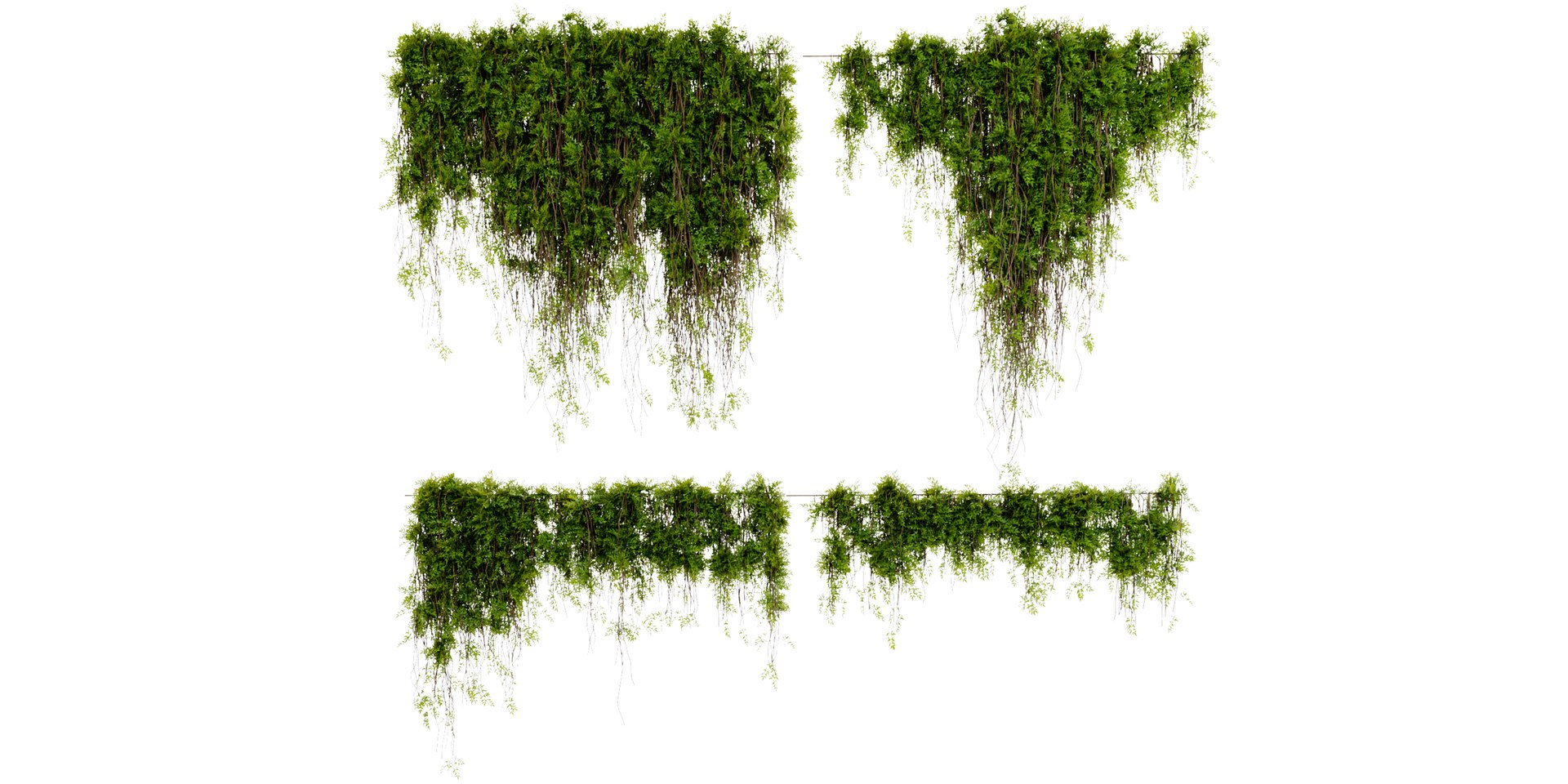 Collection Plant Vol 425 - Blender Model 3D Model - TurboSquid 2097115