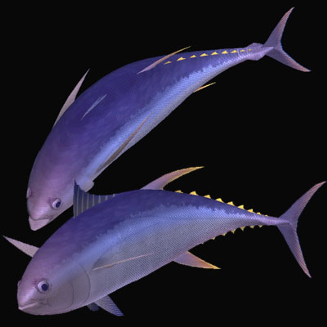 3d Yellowfin Kihada