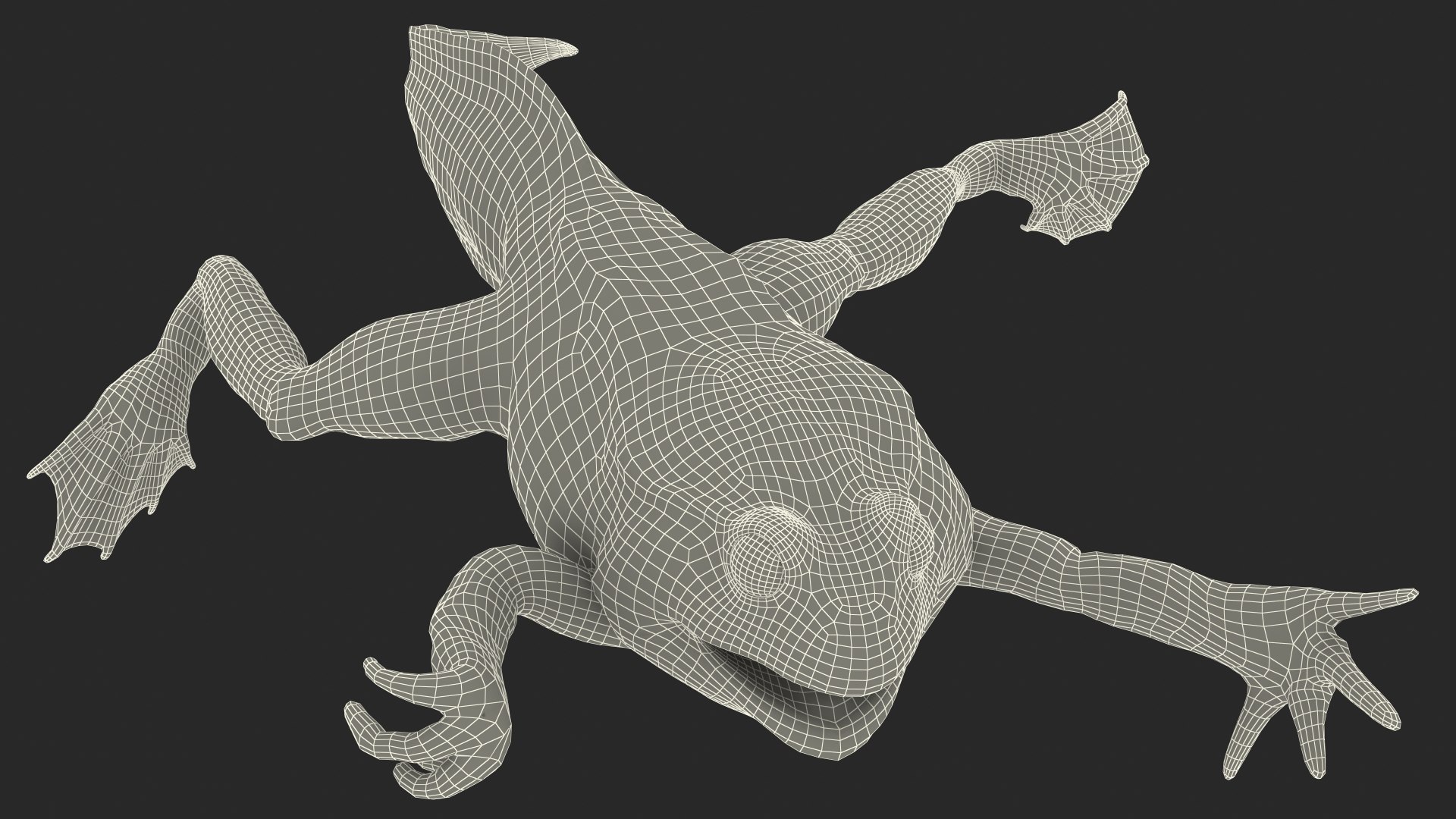 Tadpole With Four Legs Rigged For Modo 3D Model - TurboSquid 1727440